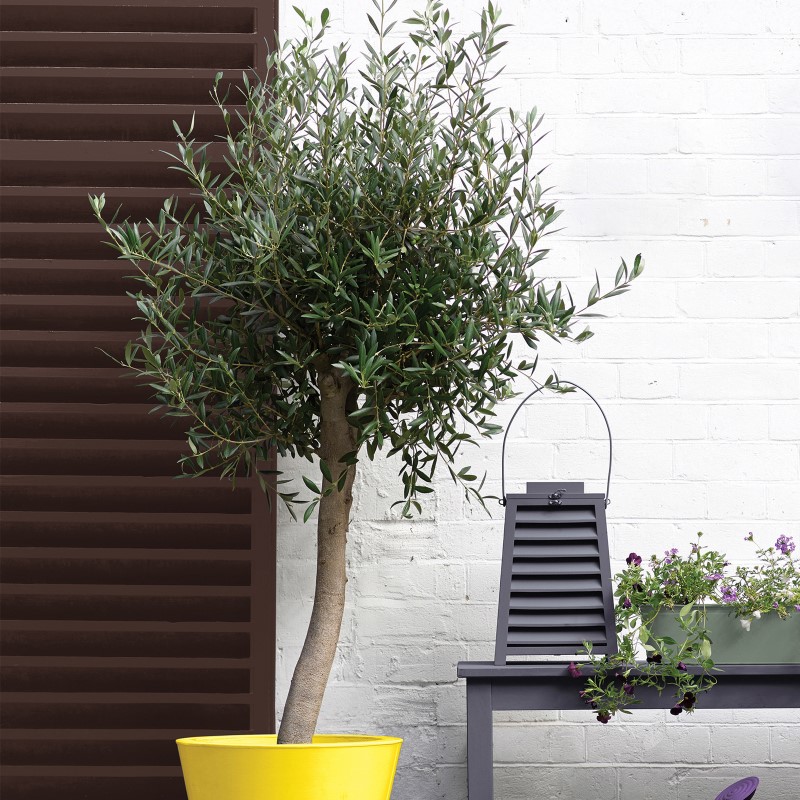 Sandtex 10 Year Exterior Gloss Wood & Metal Paint 2.5L Chestnut Brown ...